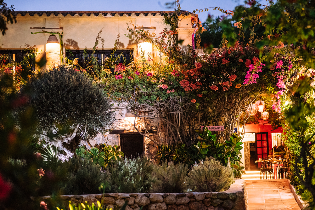 The Pikes Restaurant | Lunch, Dinner & Sunday Roast | Pikes Ibiza